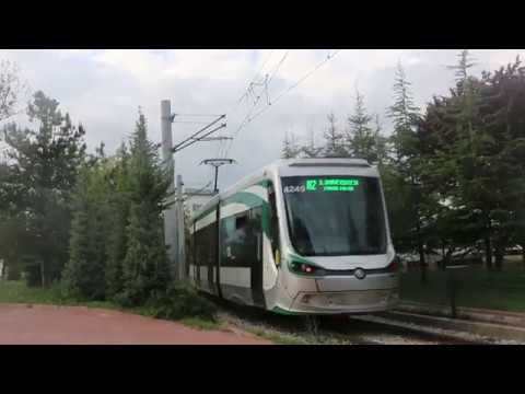 SELÇUK ÜNİVERSİTESİ  KAMPÜSÜNDEN GÖRÜNTÜLER