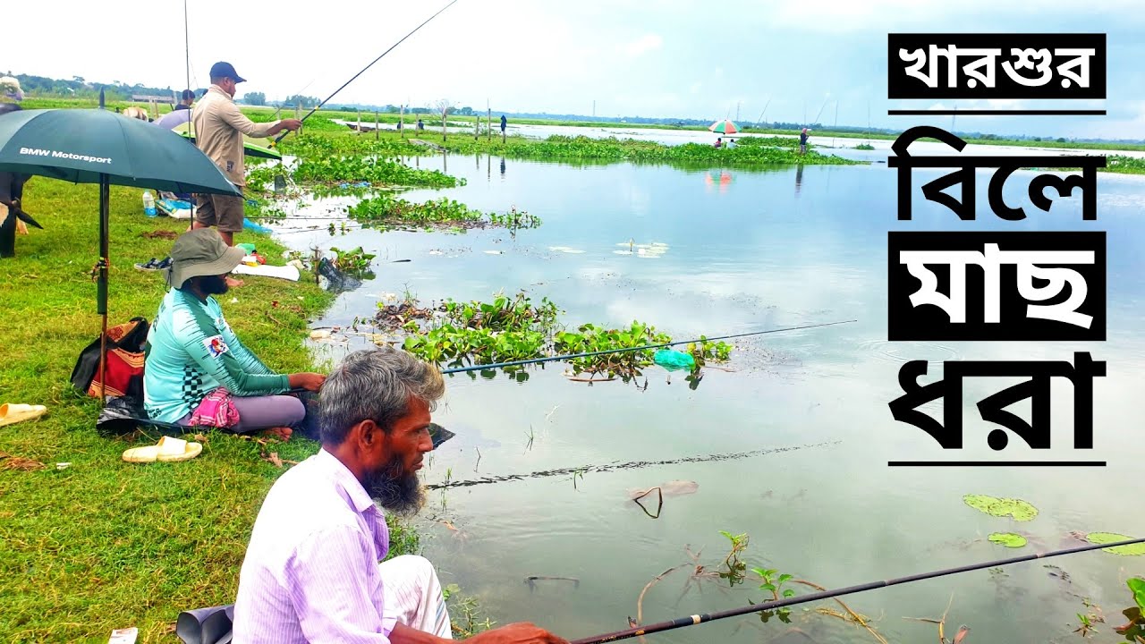 মাছ ধরার অসাধারণ ভিডিও | বিল থেকে টানে টানে মাছ ধরা | Dhakar Fish ...