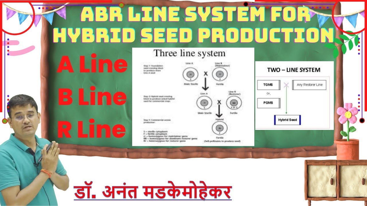 A B R line for hybrid seed production | Three line system | Two line ...
