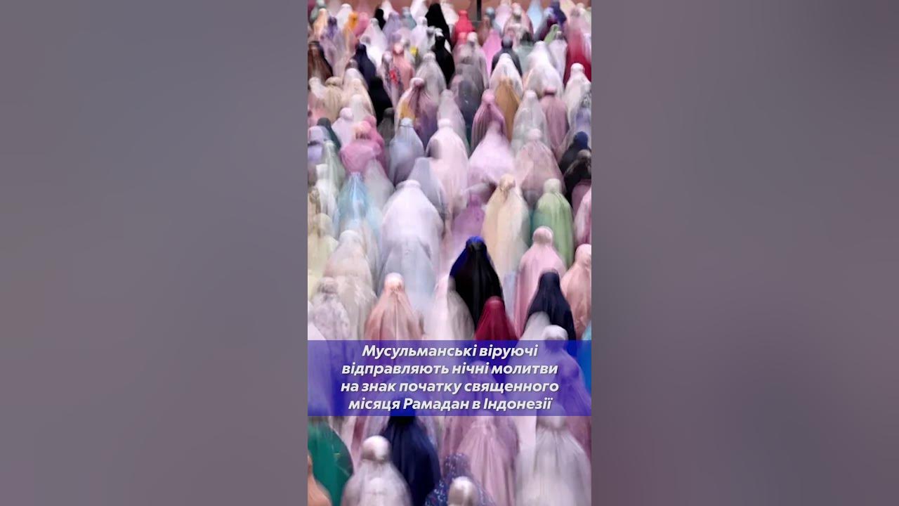 🌎 📺 Про все у світі одним реченням. PART-93 #курйози #новини # ...