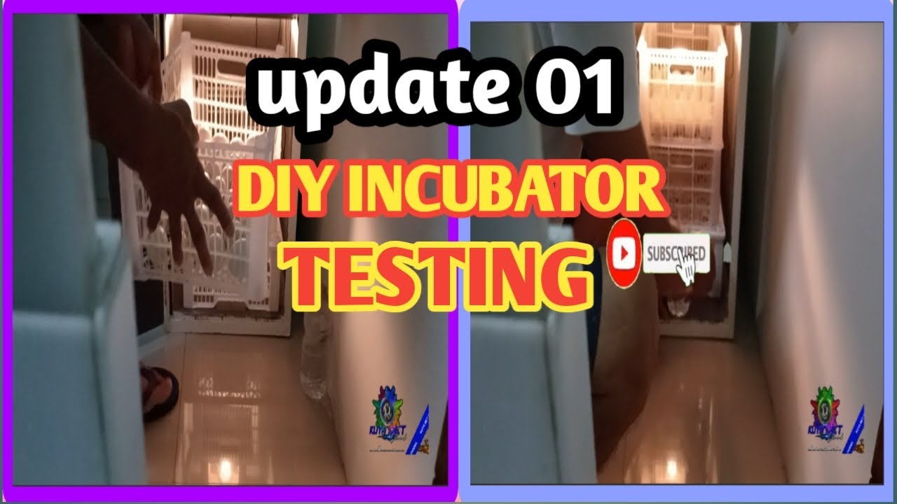 UPDATE 01 DIY INCUBATOR TESTING - YouTube