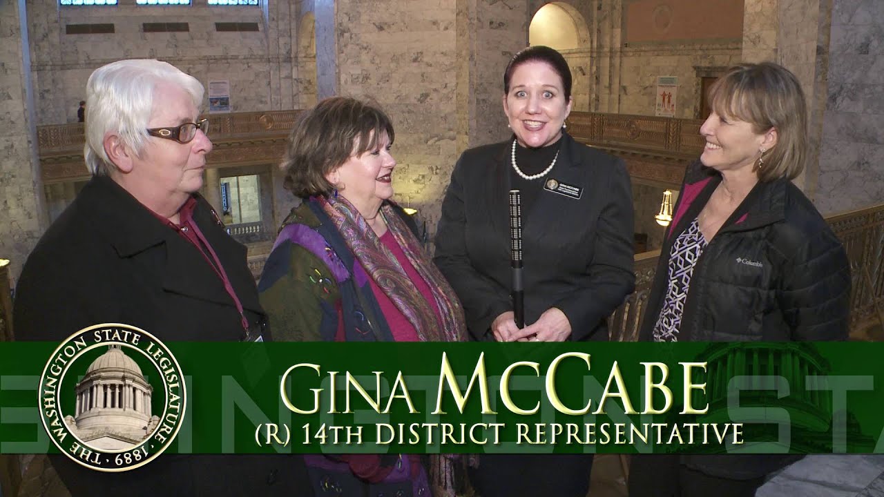 Rep. Gina McCabe’s legislative update | Feb. 1, 2016 - YouTube