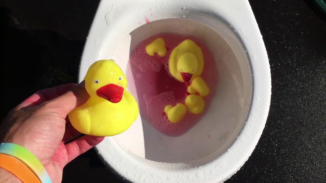 Will it Flush? - Yellow Rubber Ducks - YouTube