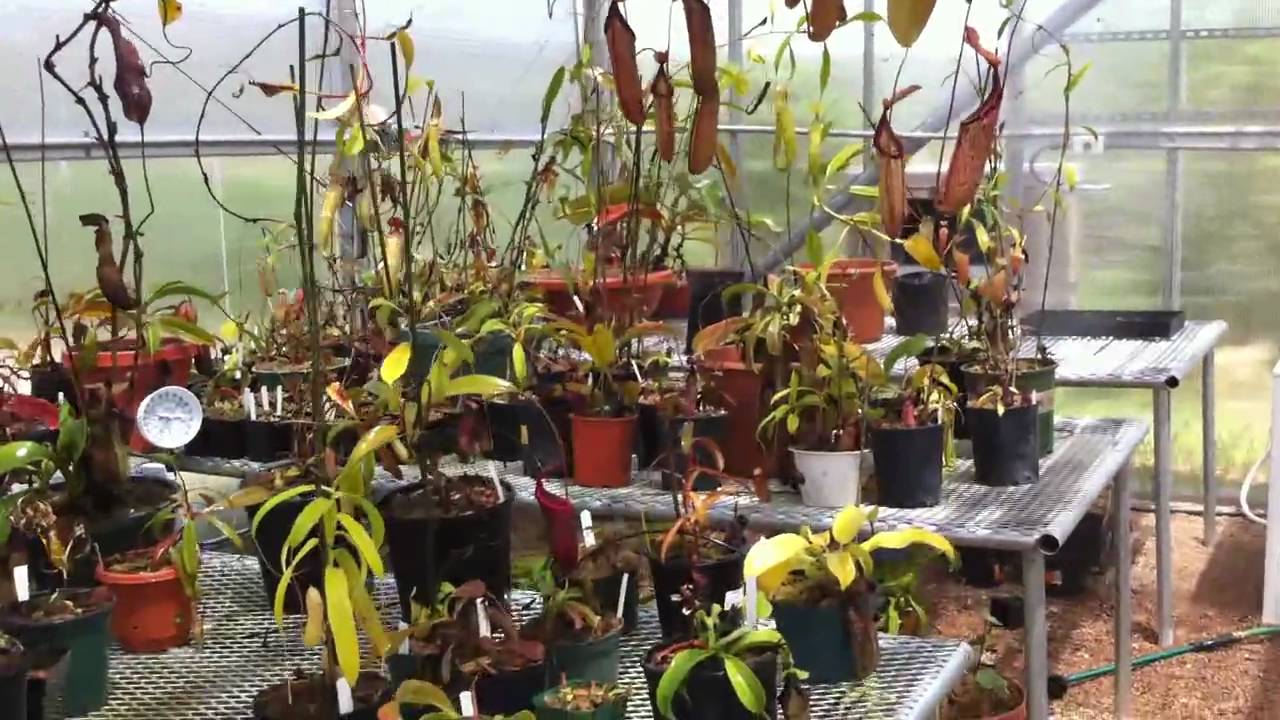 Greenhouse Humidifier Running With All Fan On - YouTube