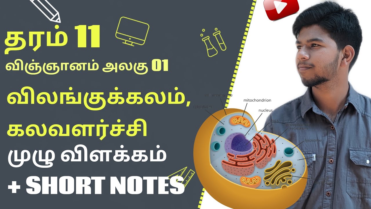 Grade 11 science tamil medium lesson | தாவர விலங்கு இழையம் | விலங்கு ...