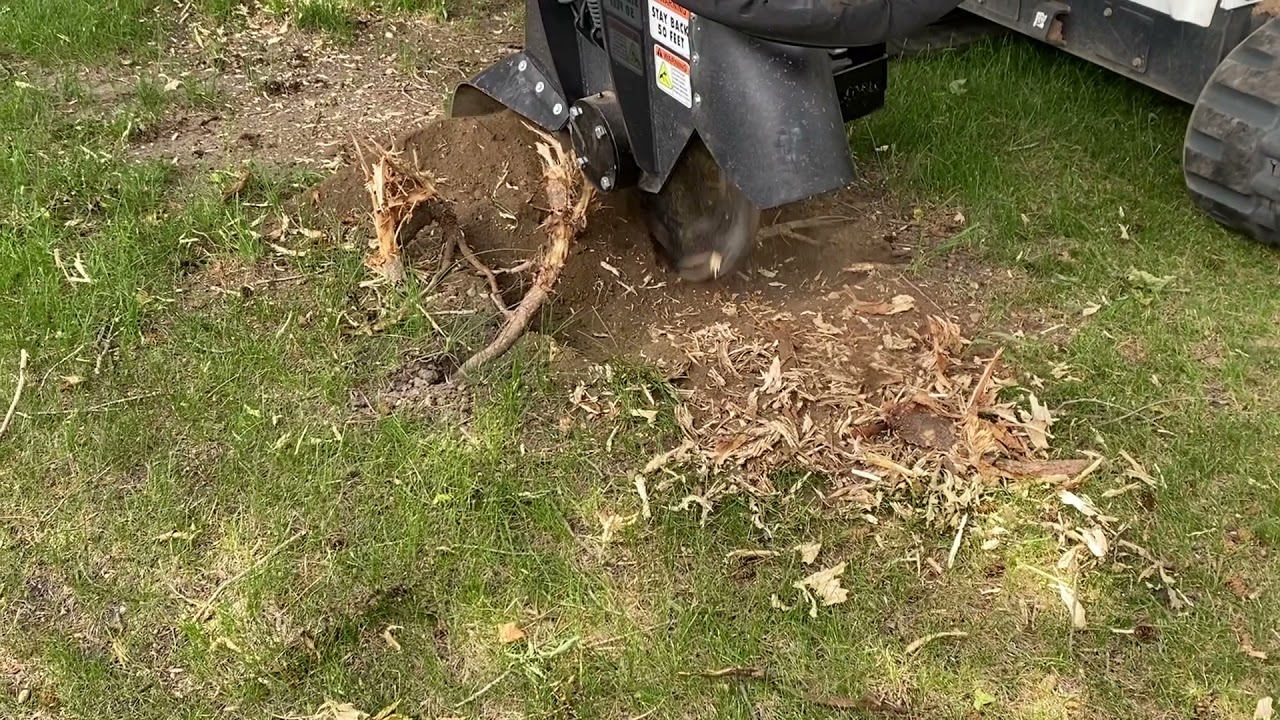Stumper 280 Stump Grinding (Part 7) - YouTube