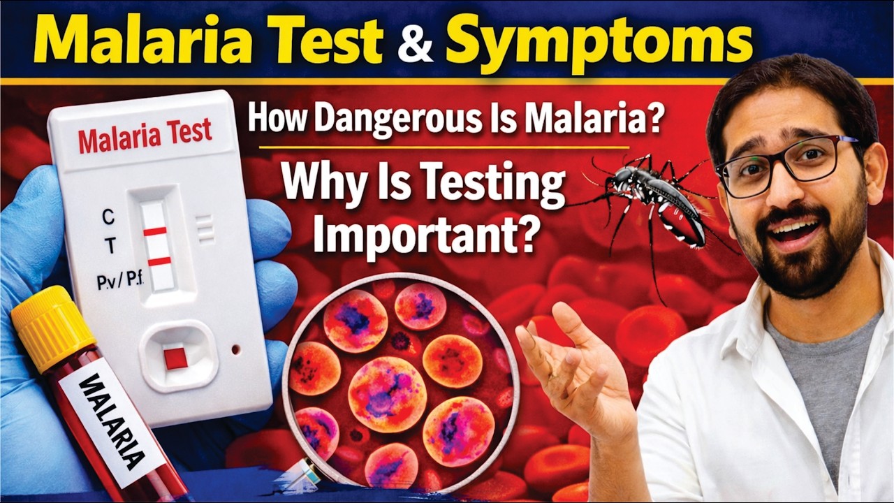 Malaria Test & Symptoms | How Dangerous Is Malaria? Why Is Testing ...