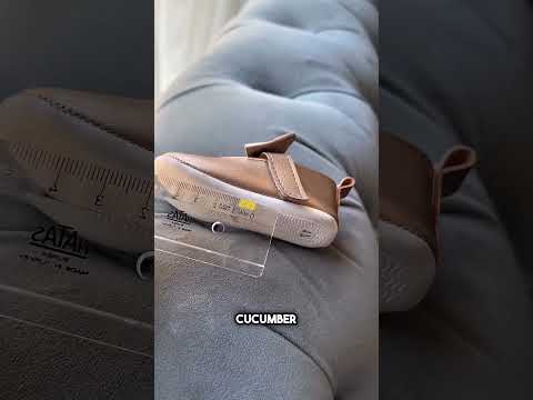 Who Was Biting Everything in the House? 🤔