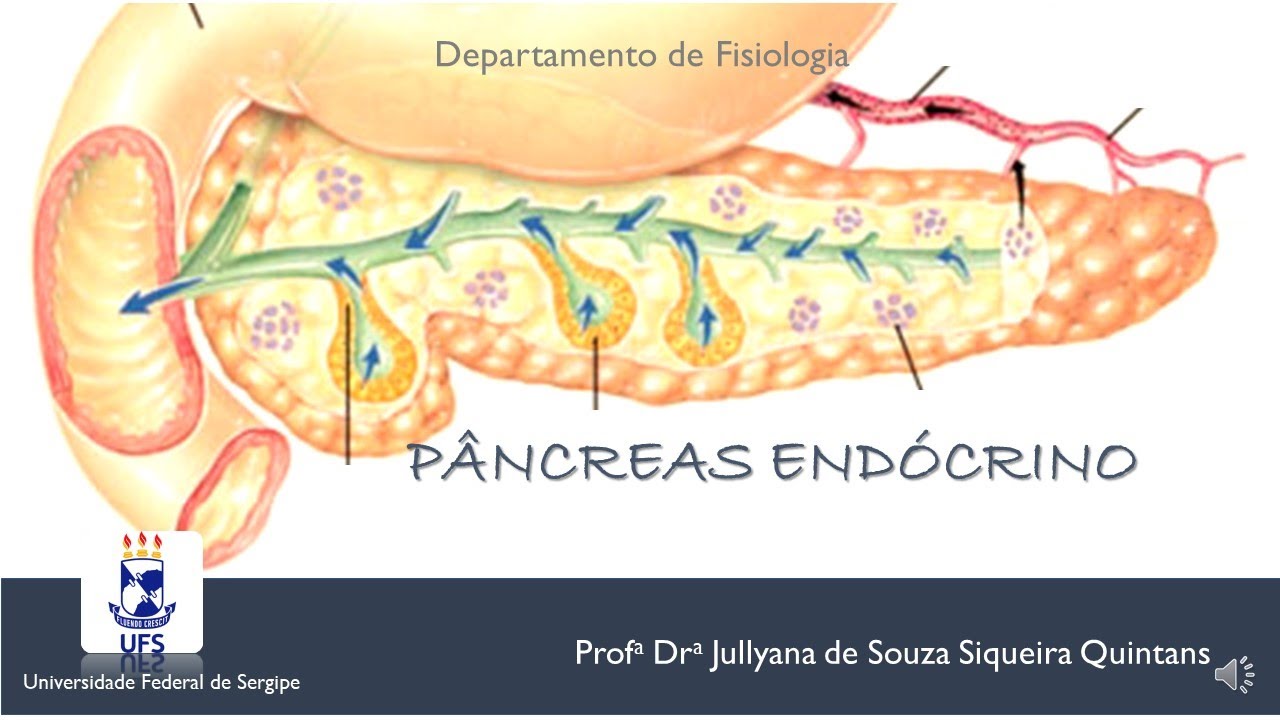 MÓDULO 2 Aula 7 Pancreas - YouTube
