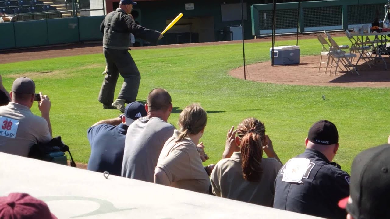 Desert Dog Police K9 Trials 2013 - YouTube