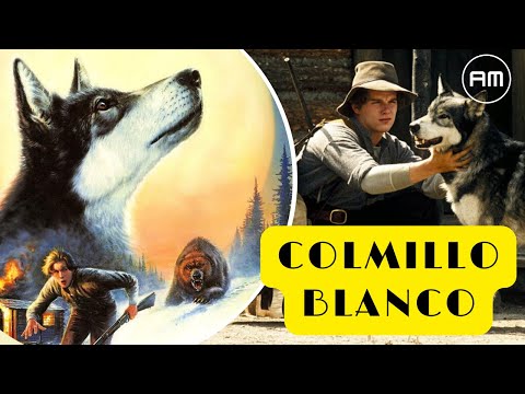 🐺 Una AMISTAD sin igual entre un PERRO LOBO y un HUMANO / COLMILLO BLANCO 1991 / ACORTANDO MINUTOS