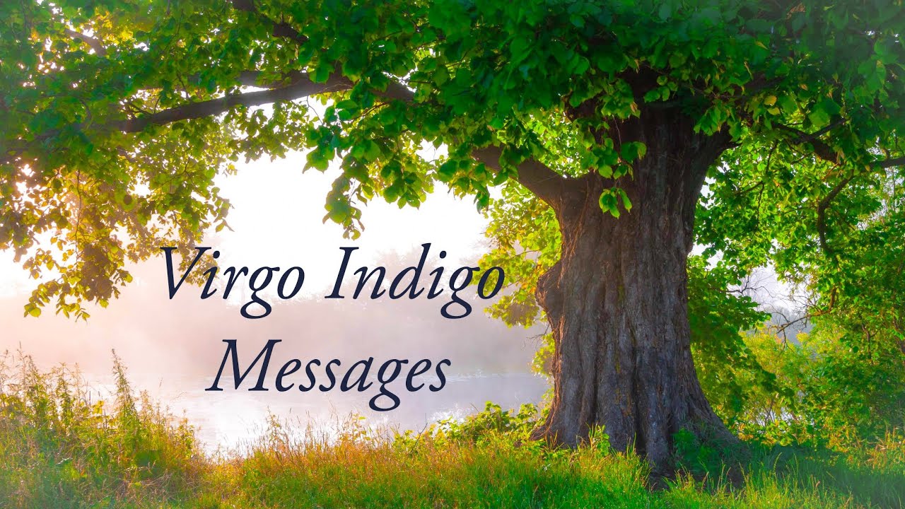Virgo Indigo Tarot Reading | Trust The Process | Timeless - YouTube