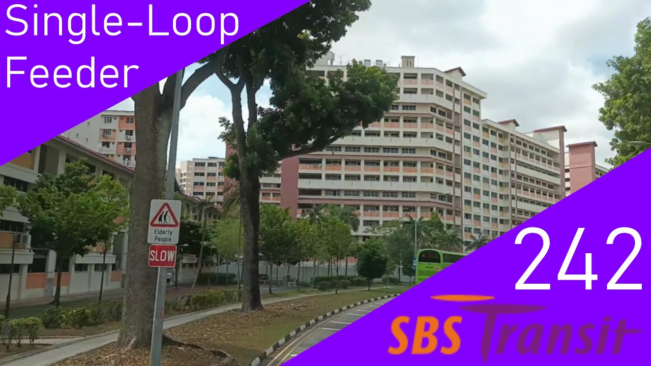 Singapore SBS Transit Feeder Bus Service 242 Route Visual - YouTube