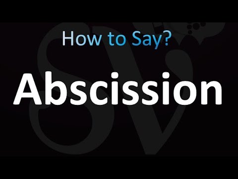 How to Pronounce Abscission (correctly!) - YouTube