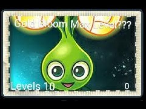 gold bloom in pvz 2 max level???Full HD - YouTube