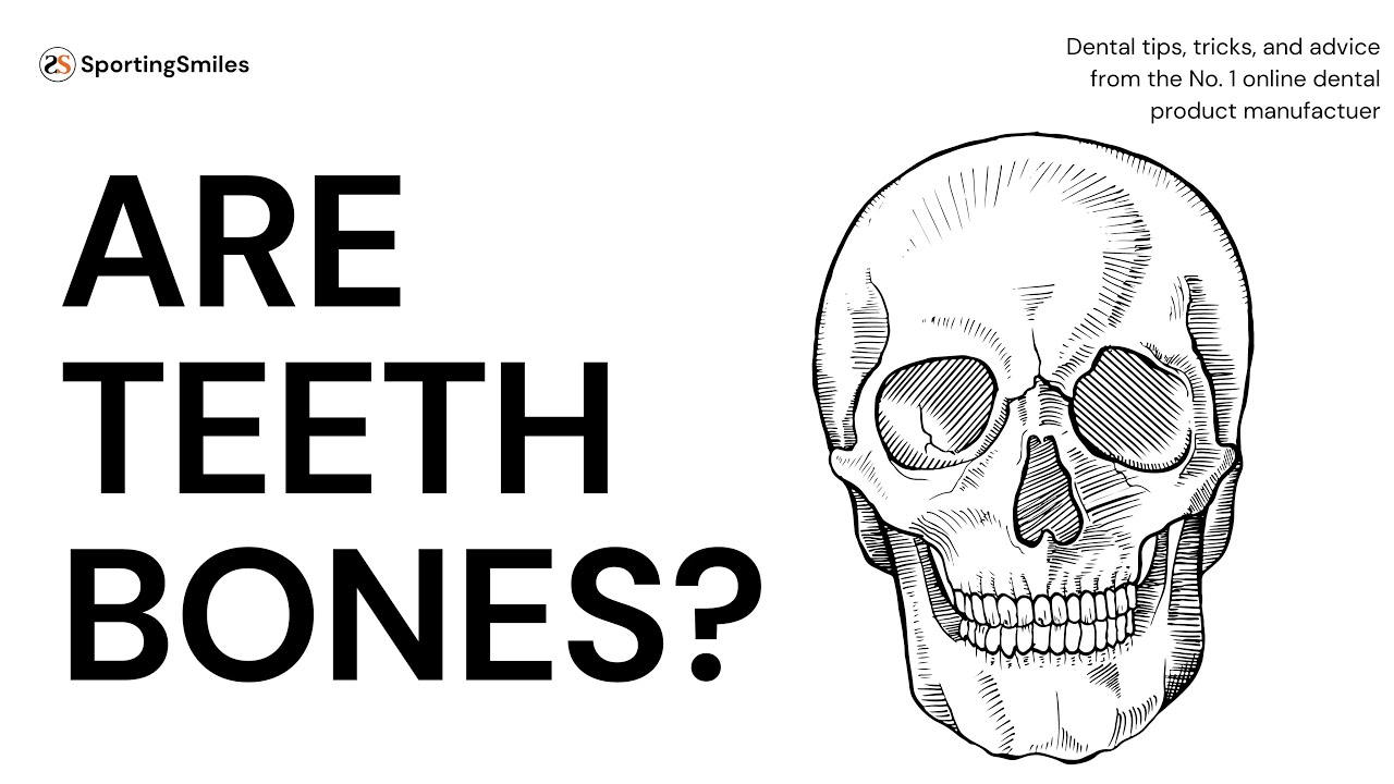 Are Teeth Bones? - YouTube