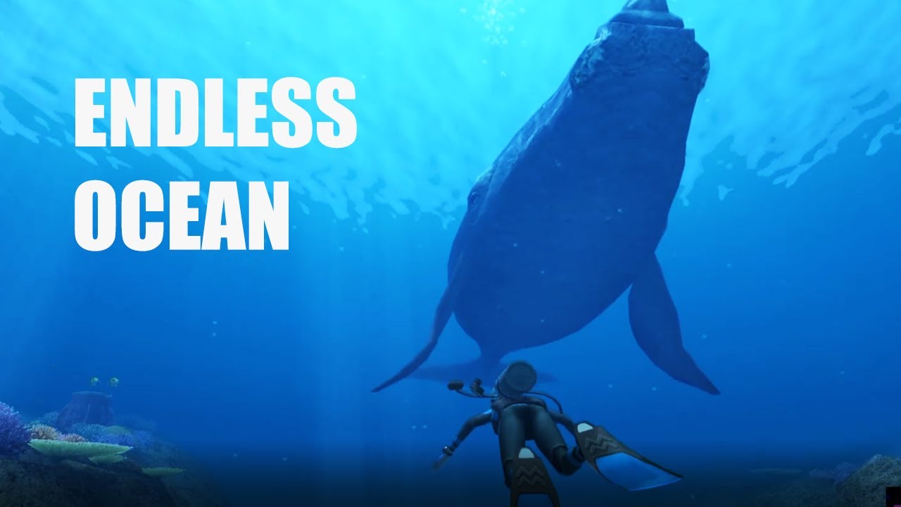 Endless Ocean Nintendo Wii Gameplay Español - Canal Salvaje y Ballena ...