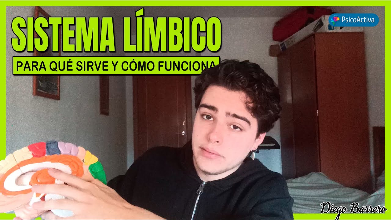El Sistema Límbico: El Centro Emocional del Cerebro 🧠 - YouTube