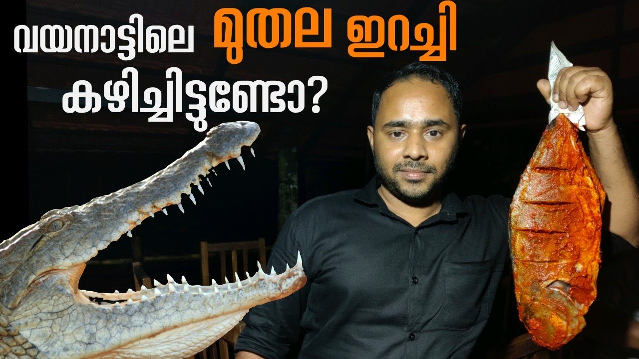 വയനാട്ടിൽ മുതല | Crocodile in WAYANAD | Grilled Fish | Grilled Chicken ...