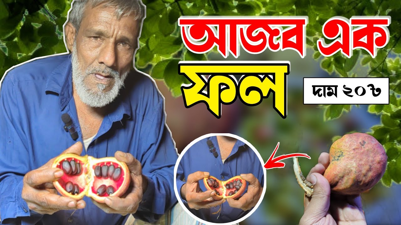 Love Shape UNIQUE NUTS – Must Try for 20 Taka! | Atay Rabby Vlog - YouTube