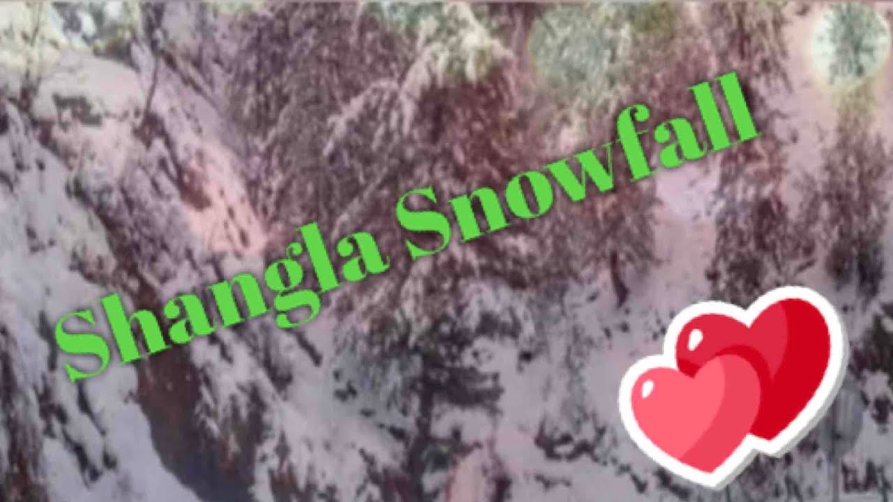 Snowfall in Shangla | Beautiful place |vlog - YouTube