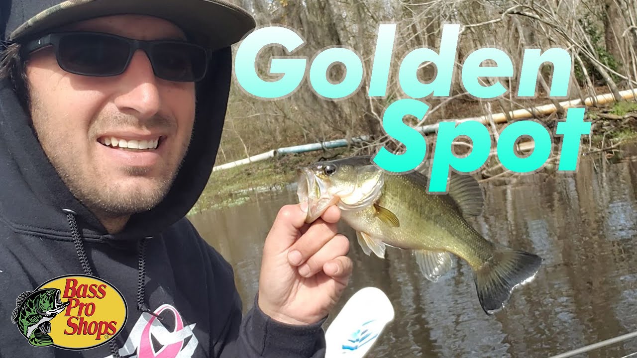 Find the Golden Bass Fishing Spot - Episode 15 The Outdoor Dream Series ...