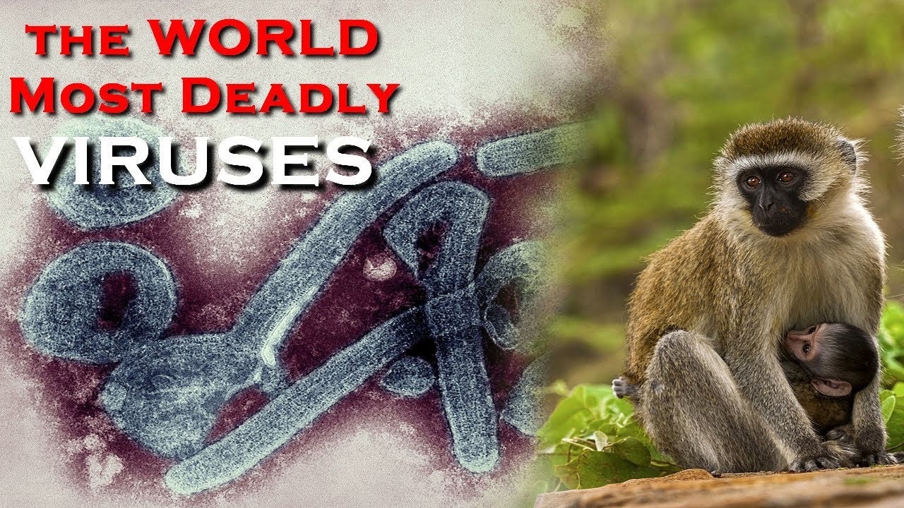 10 Most Deadly Viruses in History, #Viral #RealTobs - YouTube