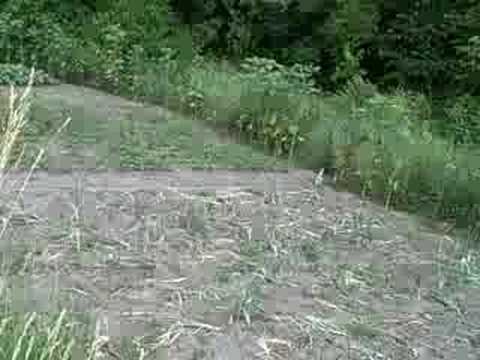 Poland Farm - YouTube