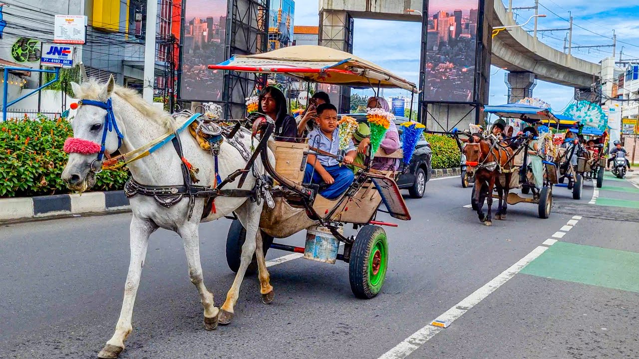 KUDA | KUDA DELMAN - NAIK KUDA | LAGU NAIK DELMAN, POTONG BEBEK, KERETA ...