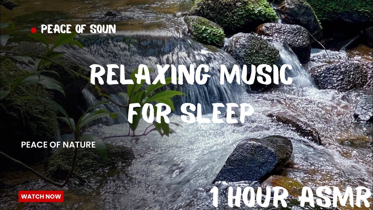 Relaxing Nature Sounds for Sleeping, Natural Calm Forest🌳relaxing ...