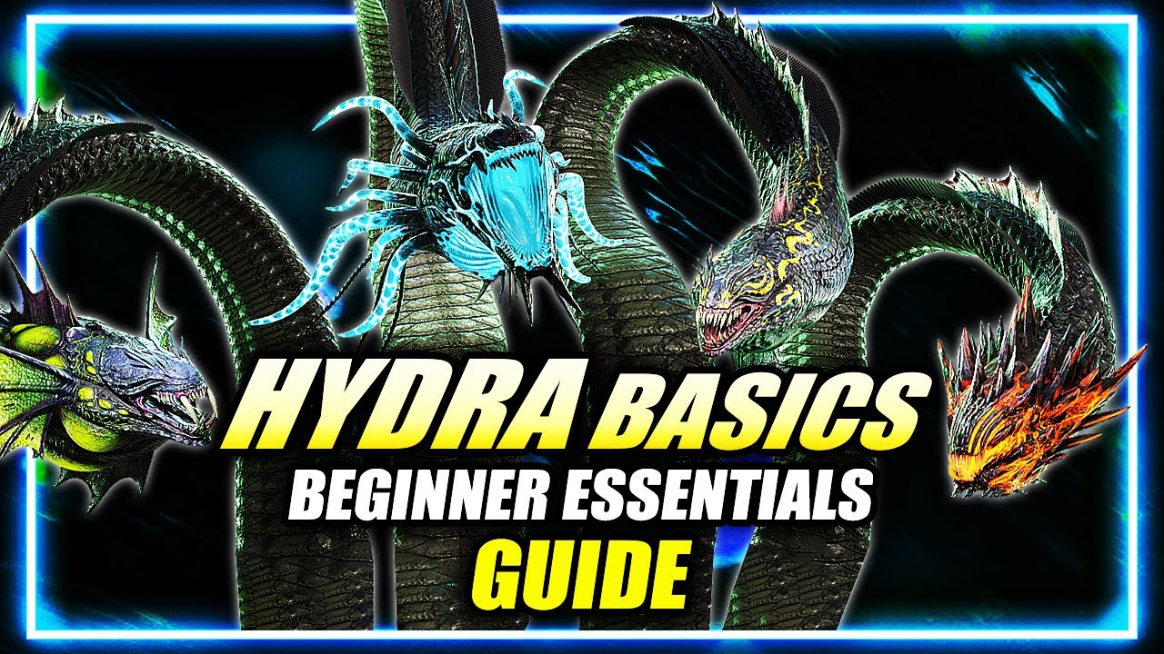 HYDRA GUIDE How It ALL Works - Basics, Essentials & Beginner Tips ft ...