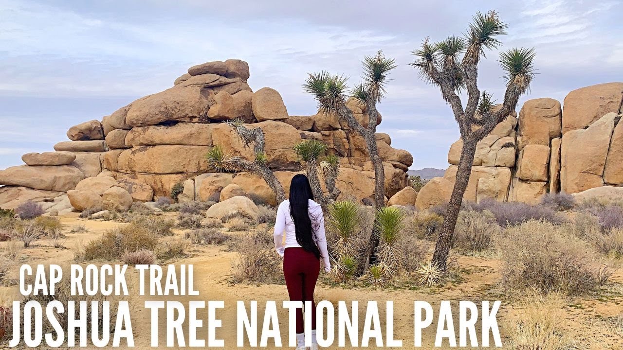 Joshua Tree National Park | Cap Rock Trail | Short Hike - YouTube