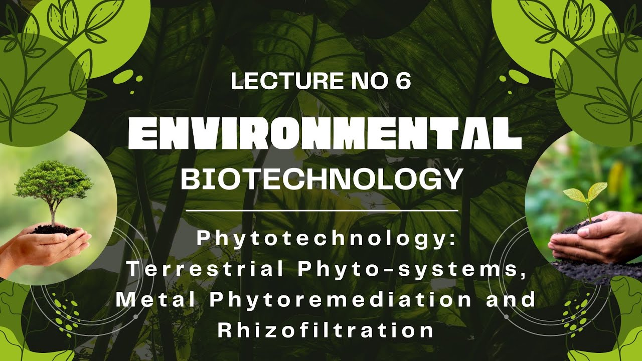 Biotechnology In Environment