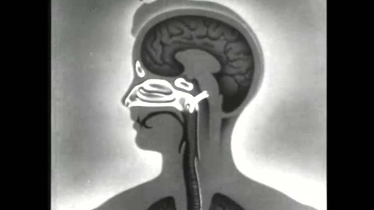 Mars Virus - YouTube