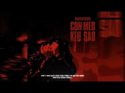 CON MEO KEU SAO ( LIL TAKE DISSING ) | NGUYEN CU DAM