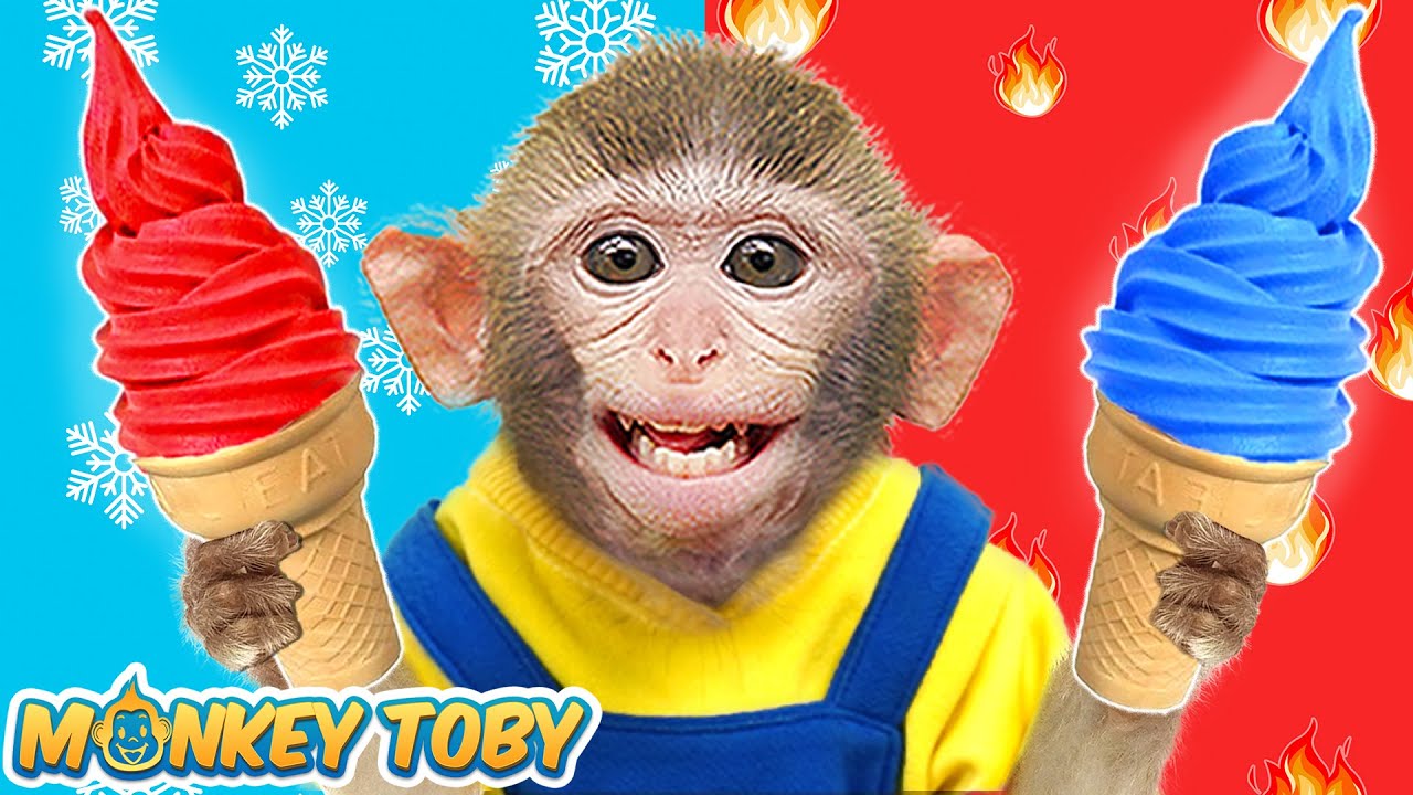 Monkey Toby having fun experience Hot vs Cold Ice Cream Vending Machine ...