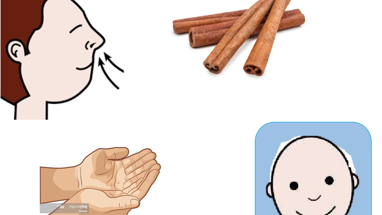 Exploro olores agradables y desagradables de mi hogar y juego a ...