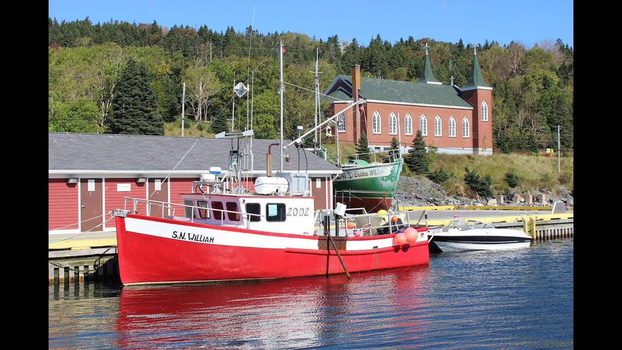Cape Broyle Newfoundland Canada Photos [ October 1 , 2022 ] - YouTube
