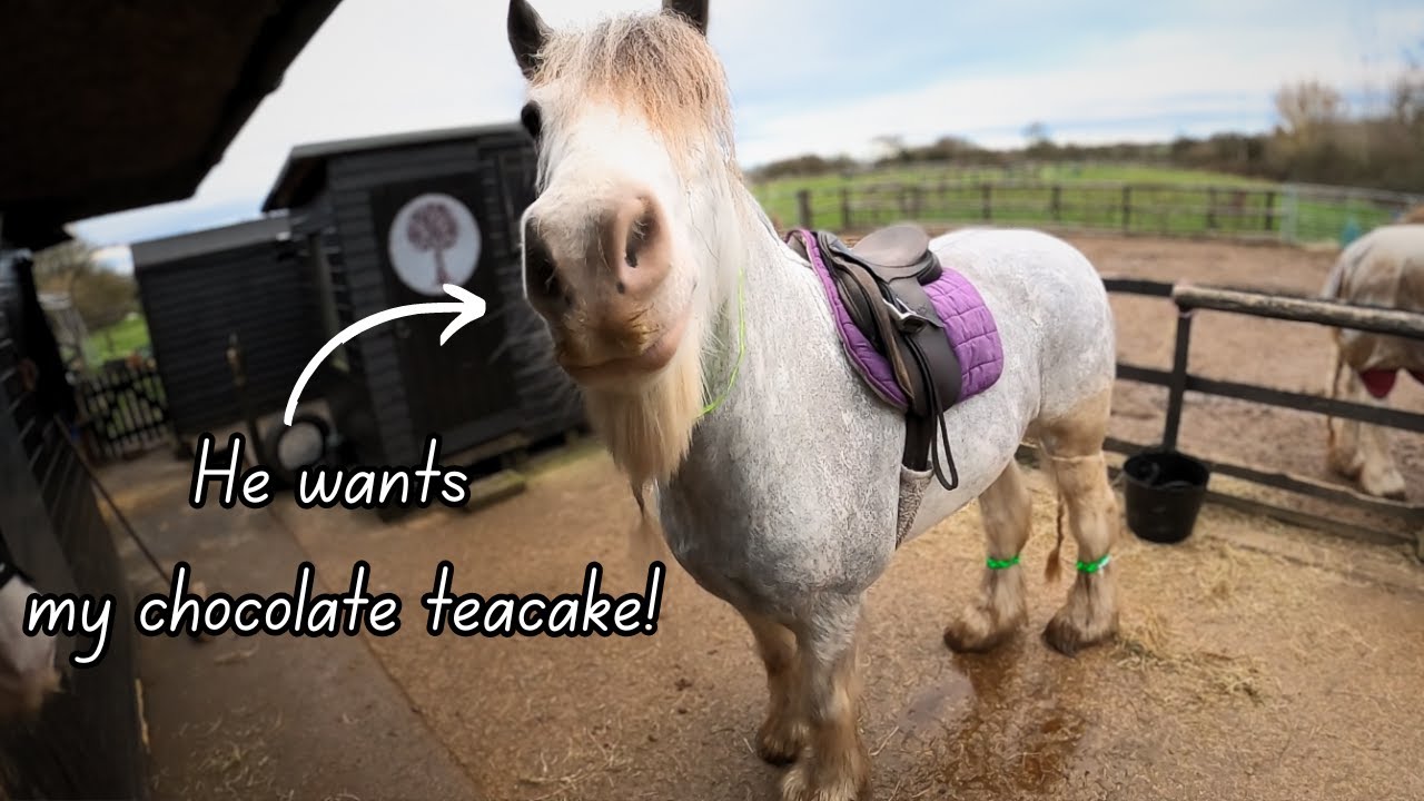 Riding Woody is like herding cats, apparently 🤣 (We did TWO big hills ...