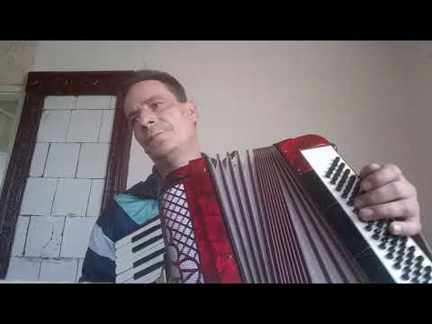 Burkuoje balandis.-1-versija.