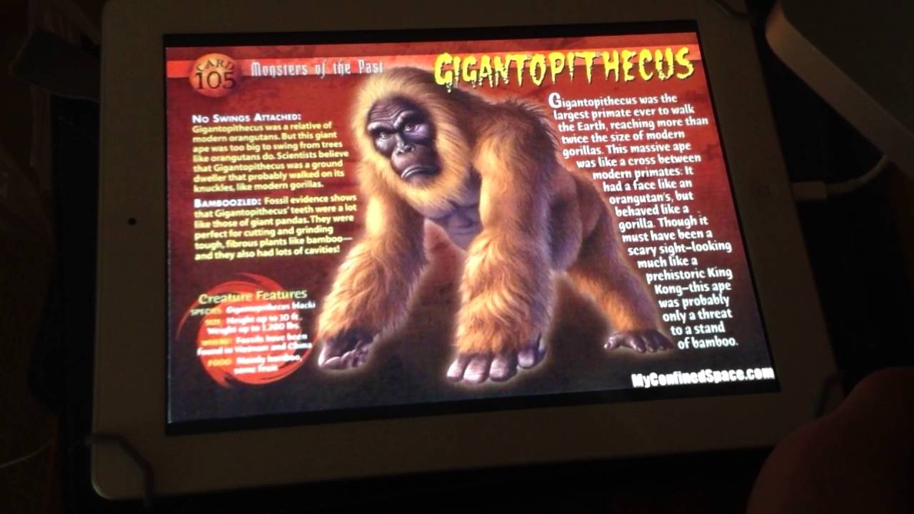 Giganotpithecus sounds - YouTube