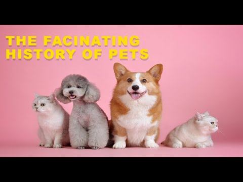 The Fascinating History of Pets - YouTube