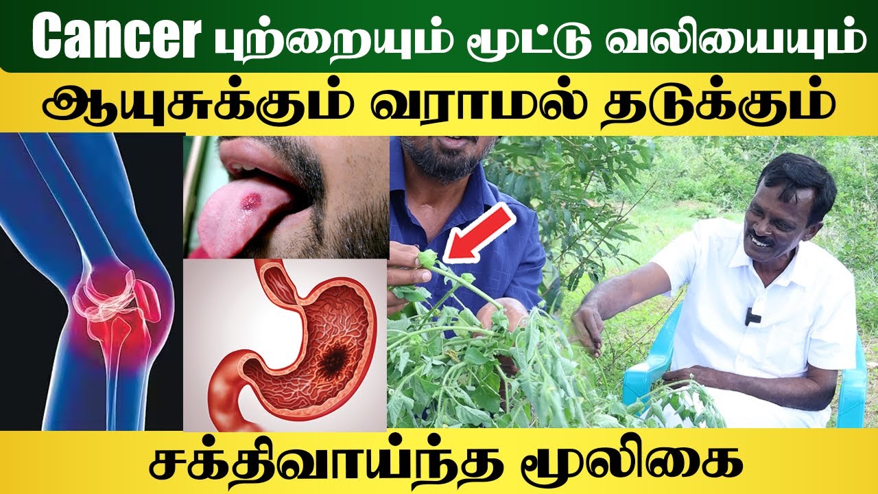 Cancer புற்றையும் மூட்டு வலியையும் ஆயுசுக்கும் வராமல் தடுக்கும் ...