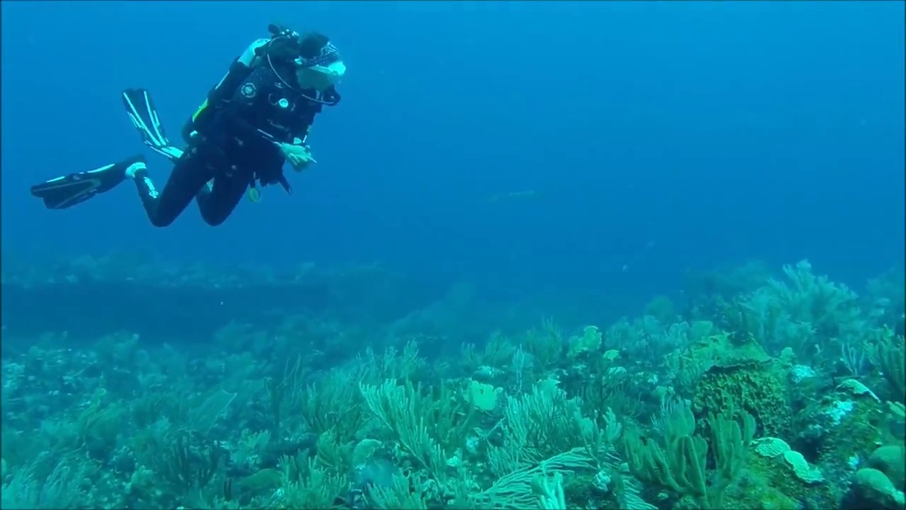 Statia Diving 2018 GoPro HD (Xav&Amandine) - YouTube