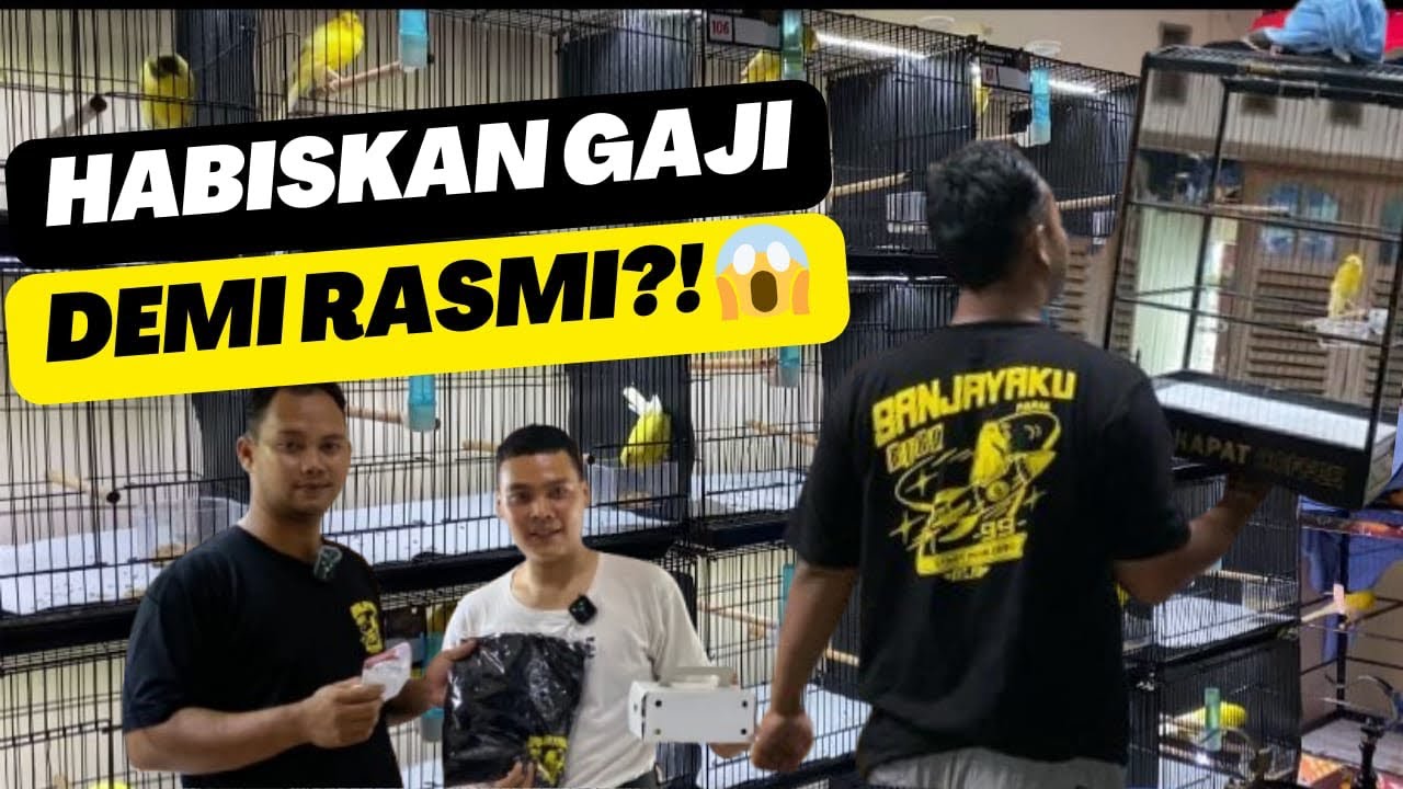 BELI BURUNG KENARI GACOR - kenari rasmi iran gacor kandang SANJAYAKU 99 ...