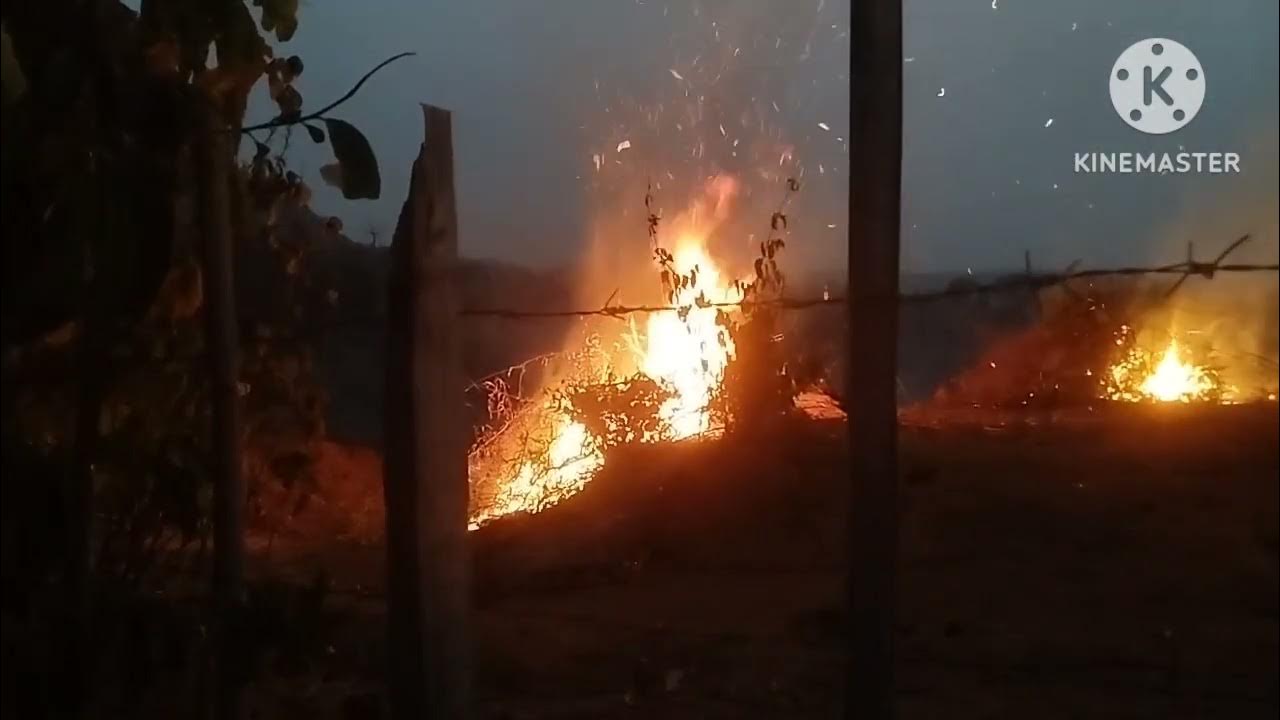 hnub no kuv tus txiv wb mus hlawv qhuav nroj teb - YouTube