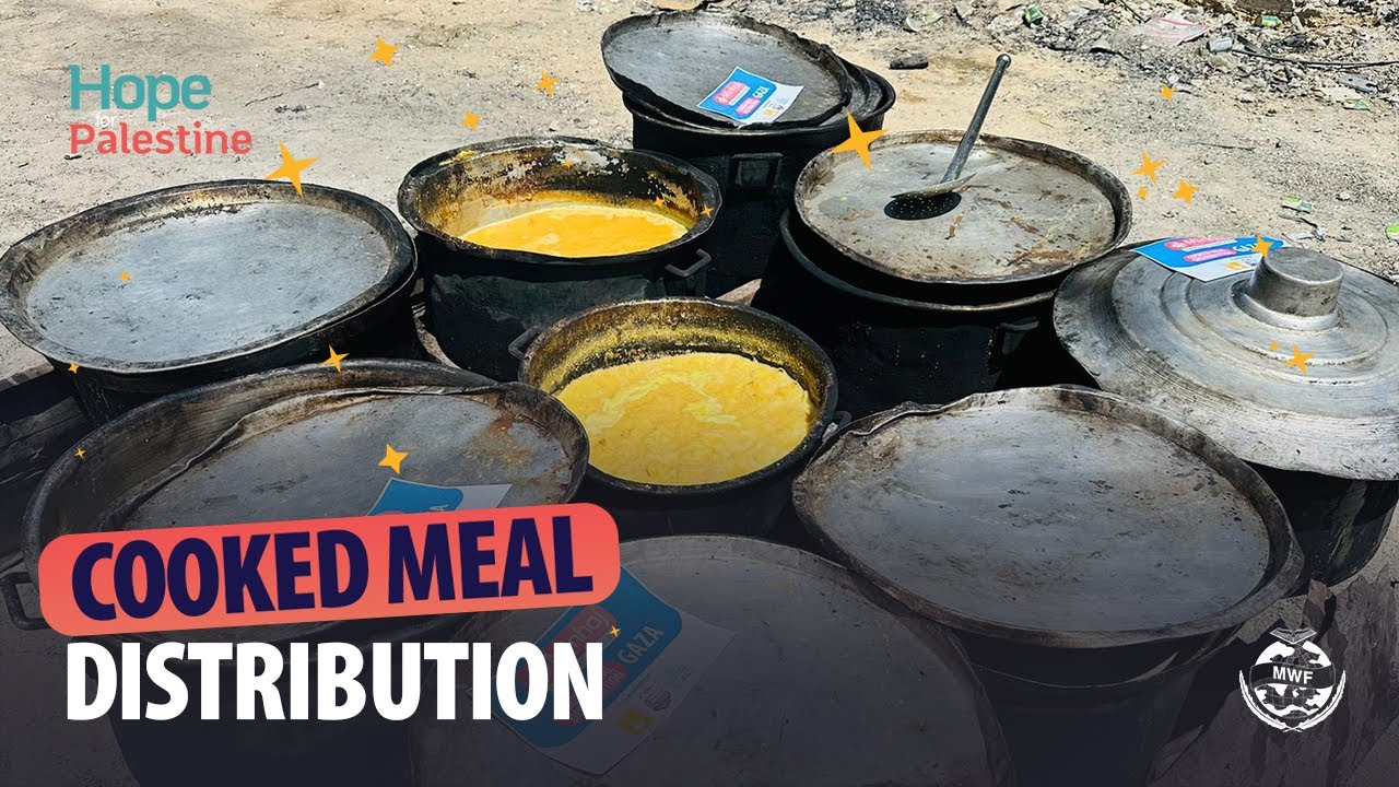 Cooked Meal Distribution I North Gaza - YouTube