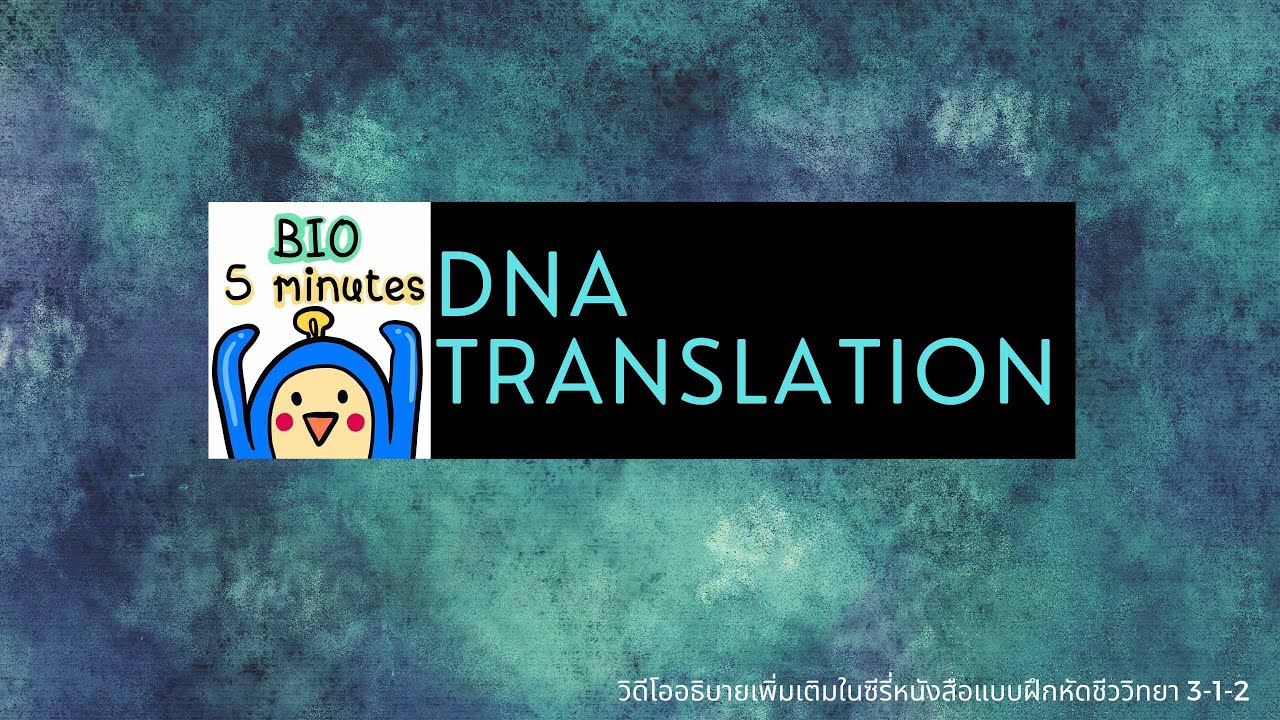 DNA translation - YouTube