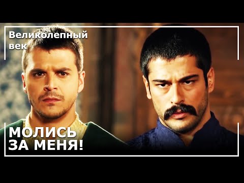 Мустафа Спас Малкочоглу! | Великолепный век