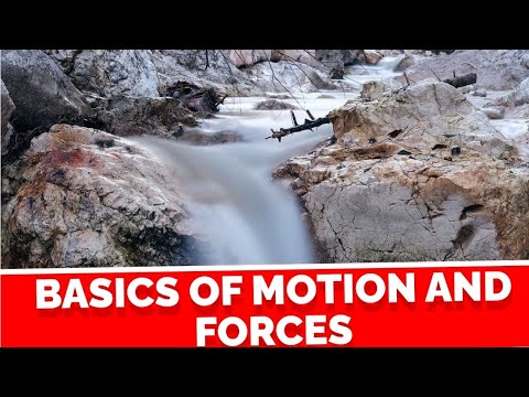 Basics Of Motion And Forces | Physic - YouTube